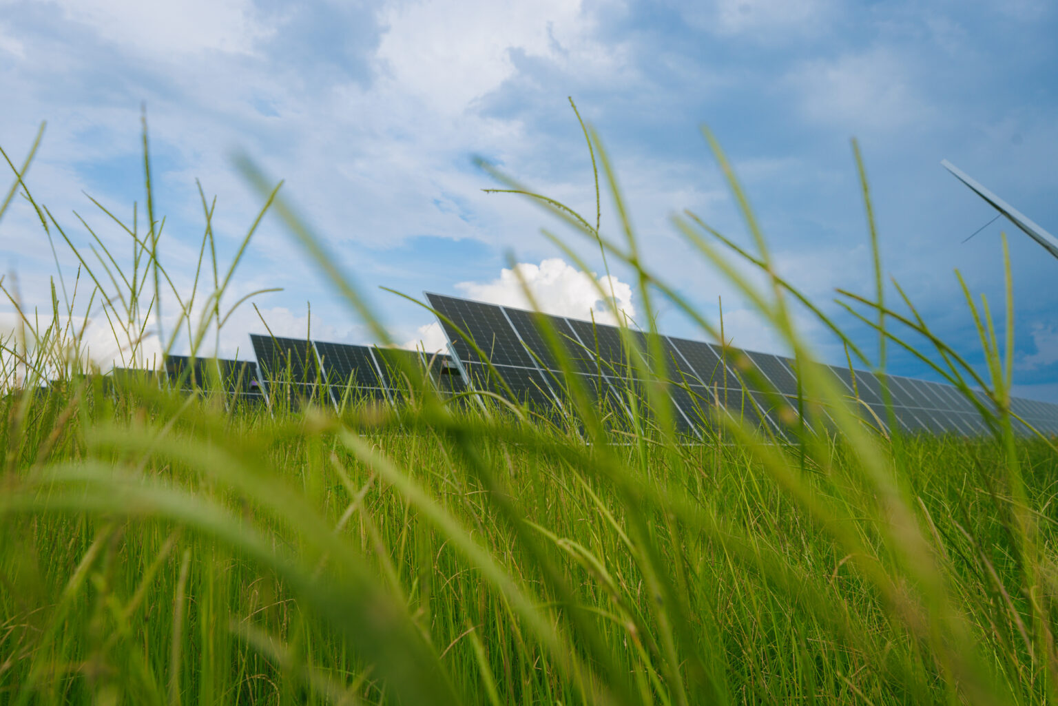 Magnolia Solar - Pine Gate Renewables