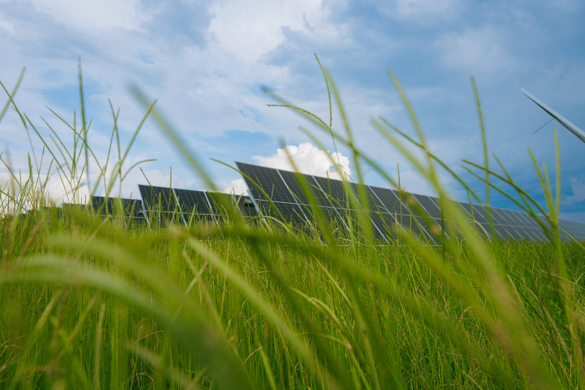 Pine Gate Renewables announces a $650 million total investment from ...