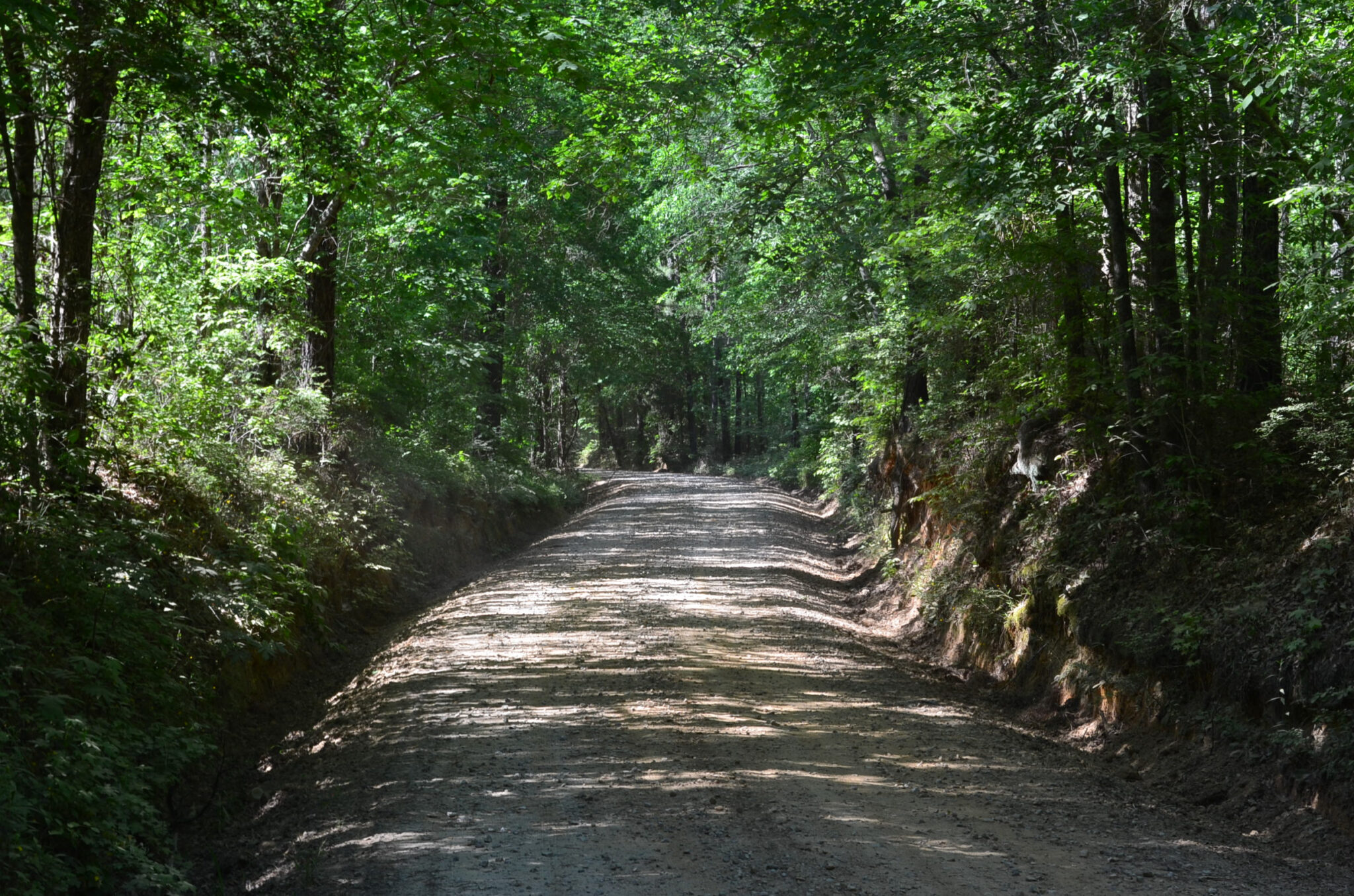 Pine Gate Renewables and Zions Bancorporation Close Financing on 75 MW ...